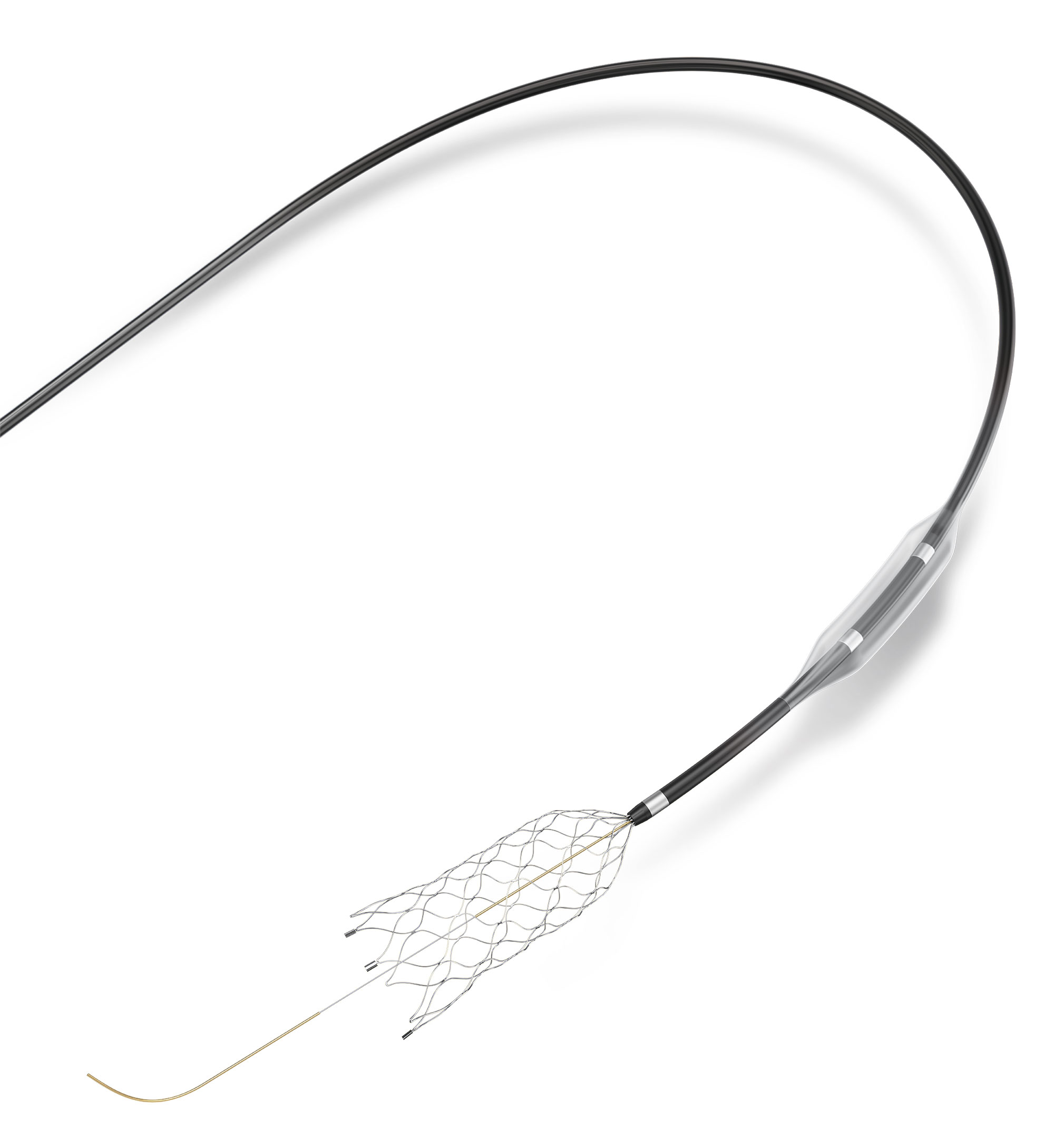 CREDO® Stent | Ateria Medika